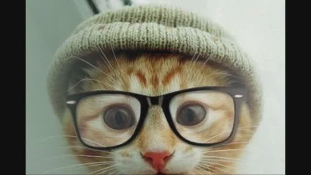 ШАЛУНИШКА (муз. и сл. Л.Горцуевой)