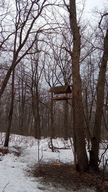 Весна в лесу!)