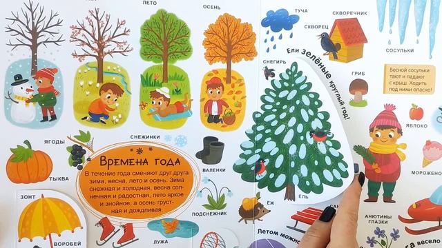 Мой первый словарь. Мир вокруг.