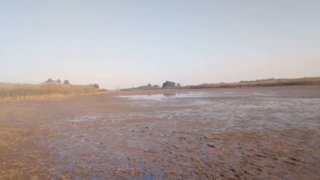 Сколько пропадает рыбы . Ловлю рыбу руками.