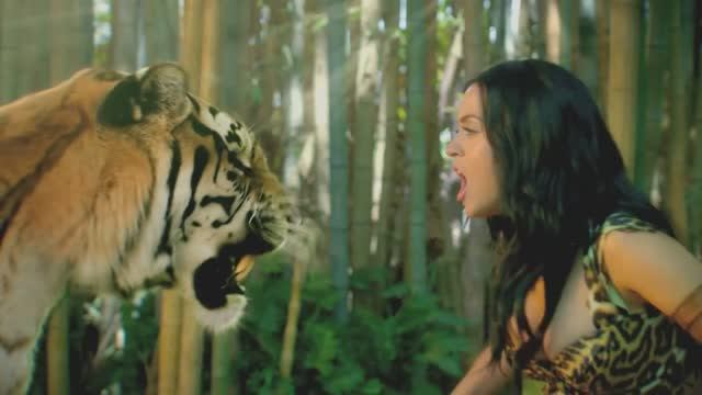 НАВАЛИЛОСЬ ВСЁ, ПОВЫЛАЗИЛО..