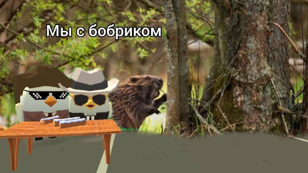 сидим с макс24к и кукир45к