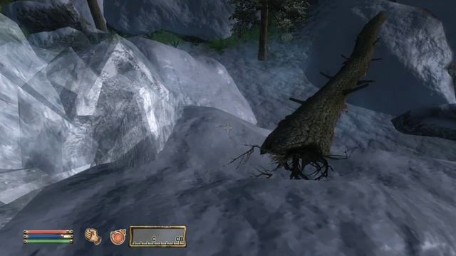 The Elder Scrolls IV Oblivion - Walkthrough Part № 46