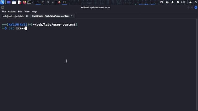 12-XML-External-Entity-(XXE)-Injection