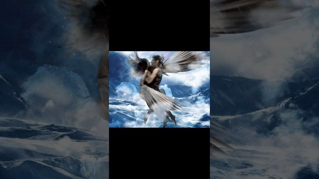 On wings of love - MarkES