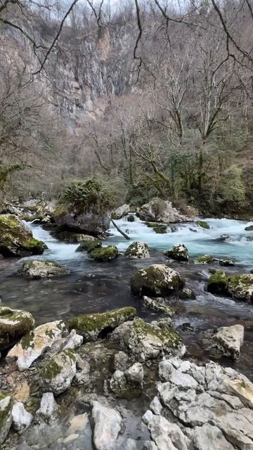 Встала и пошла 😁