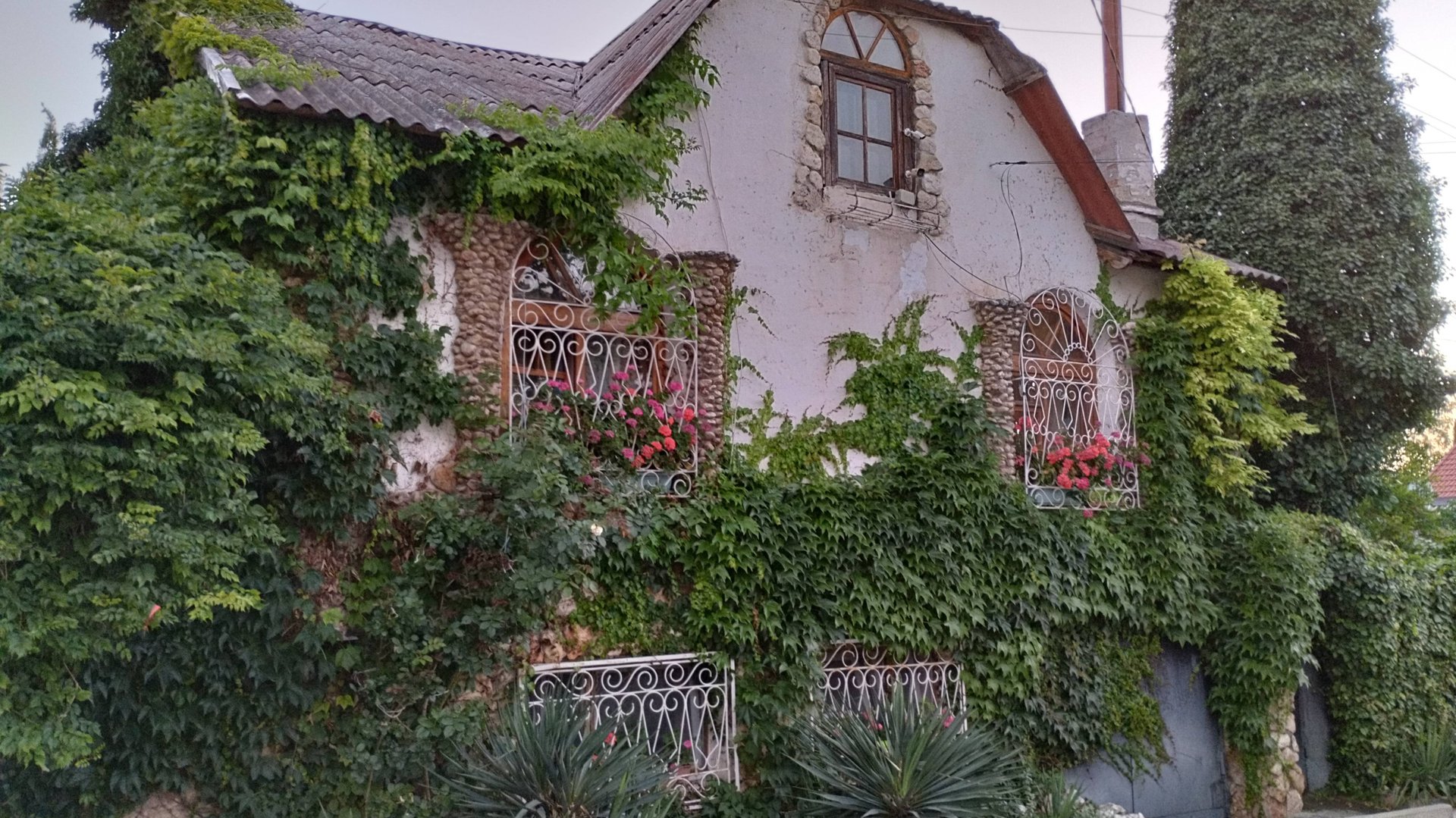 Маракуйя и шелковица