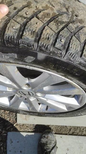 Шины Micheline X-Ice North 4 отзыв