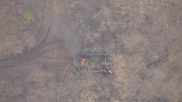 Довольно редкий на ЛБС экземпляр - украинская САУ "Богдана" догорает где-то в лесах Слобожанщины.