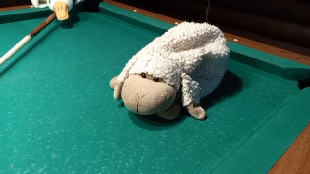 Крокодил в сауне