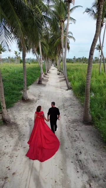 Мальдивские пальмы 🌴🌴