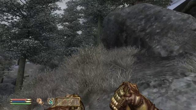 The Elder Scrolls IV Oblivion - Walkthrough Part № 57