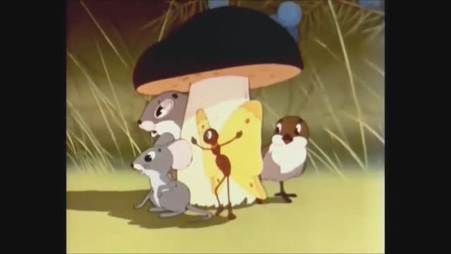 Солнышко ты где - Катя Ковалёва (муз. и сл. Л.Горцуевой)