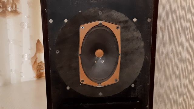 Тест динамика 1ГД-48 ВЭФ