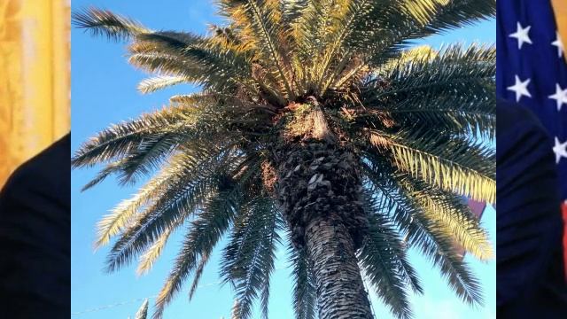 Ермак заявил, что Украина и США не пойдут на заморозку конфликта с Россией