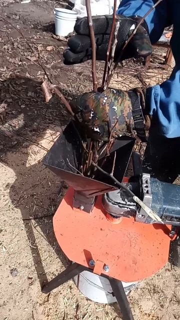 Крошим ветки садовым измельчителем