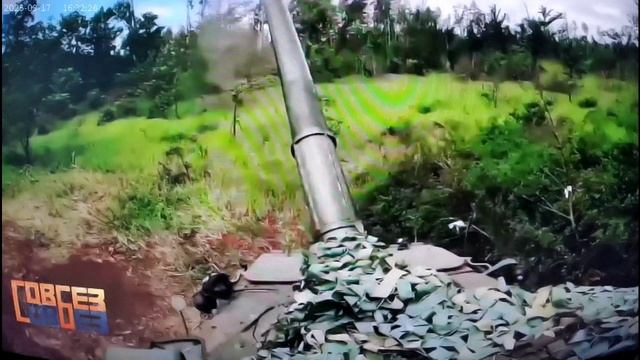 За нашу землю (2)