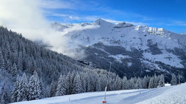 Самый красивый поезд Швейцарии в снегу - Kleine Scheidegg, Заснеженные живописные виды Альп
