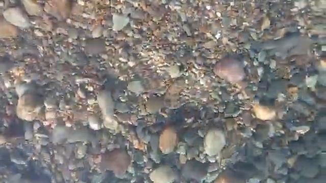 Рыбки в море. Яшмовый.