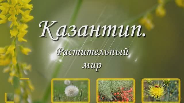 Заповедник КАЗАНТИП. Крым.  Растительный мир РОССИИ  #NelyaAkim