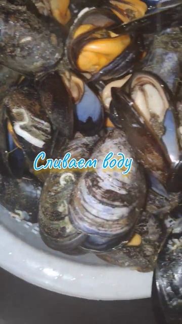 Поваренная книга: как приготовить мидии