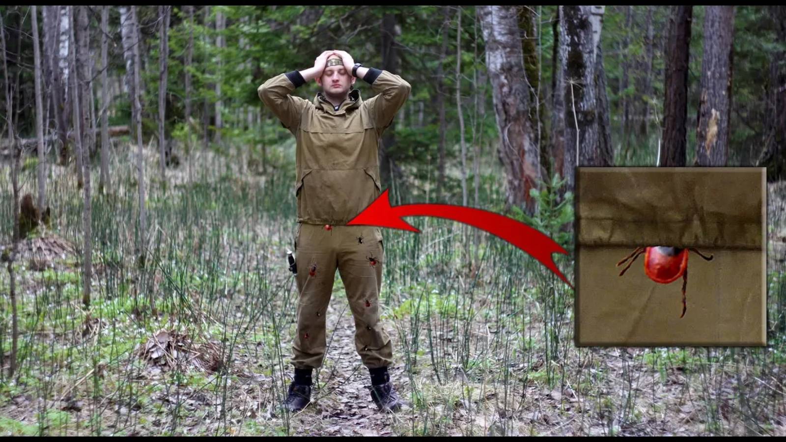 Клещи. Как защититься от укусов?