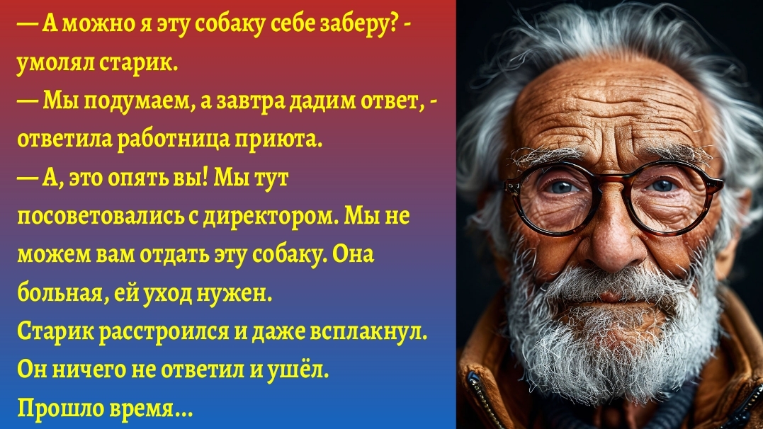 "Дедушка полюбил бедную, хромую собаку"/Истории семейные реальные/О животных