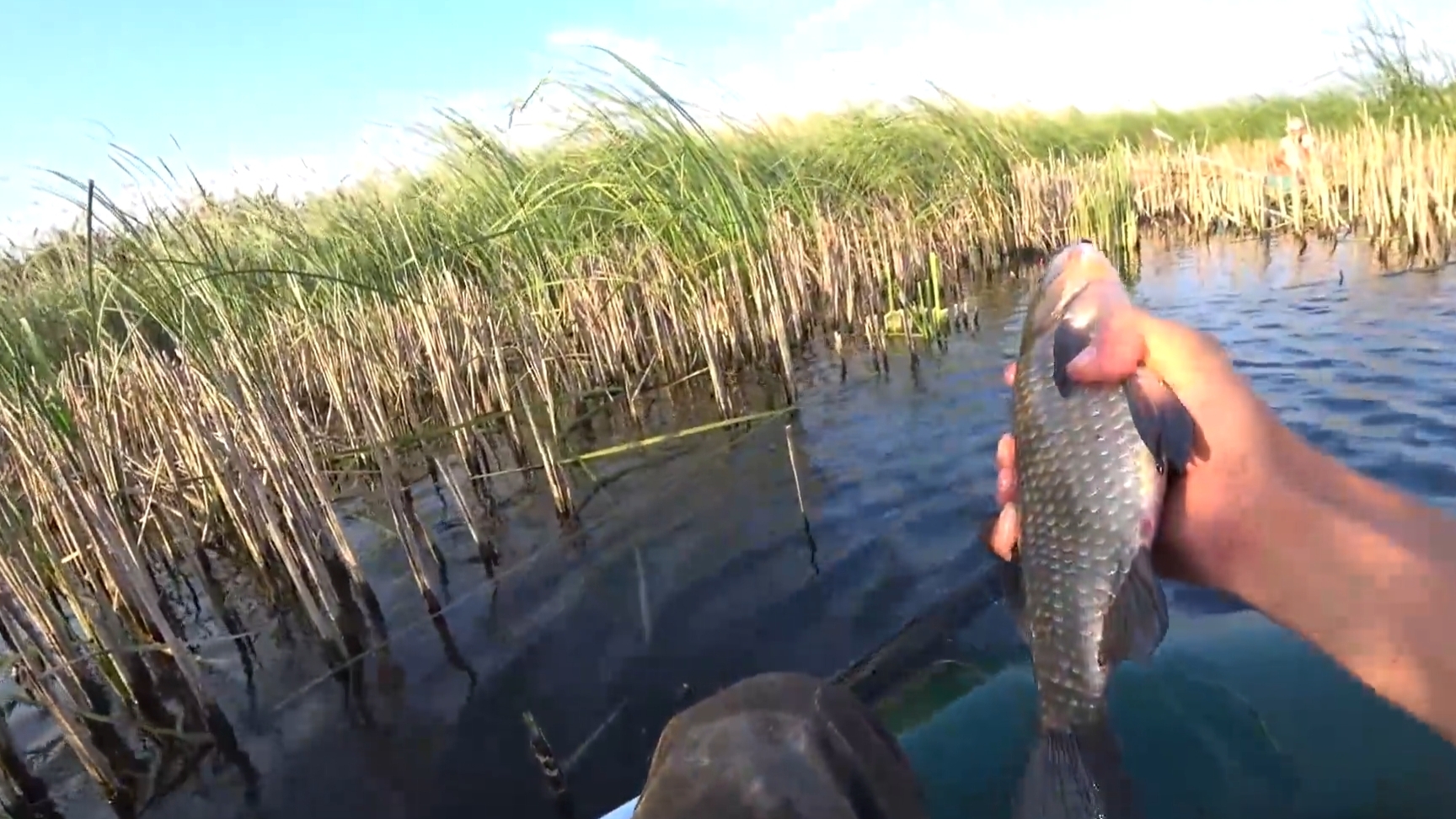 Рыбалка на поплавок ,линь.