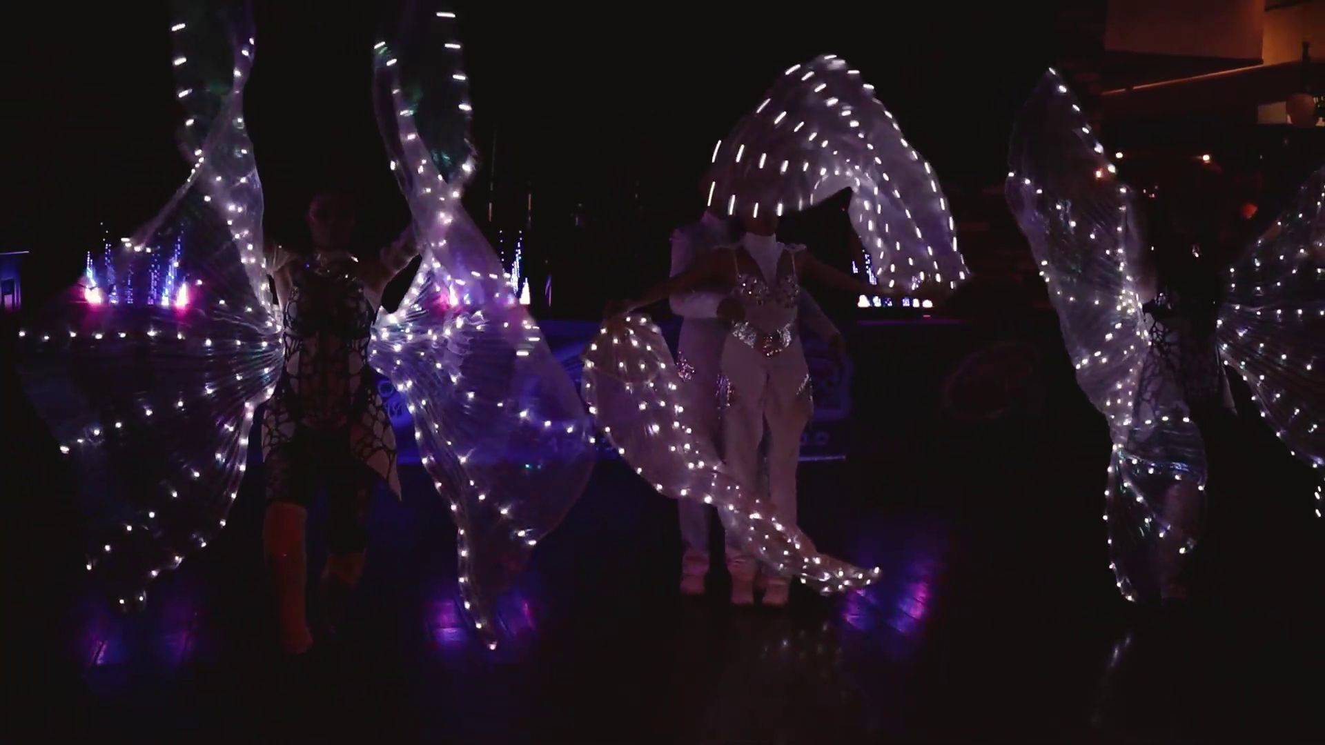 "СНЕГИРИ" - Световое шоу