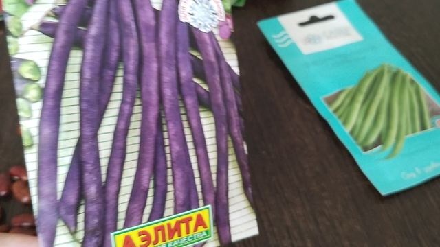 Такая разная фасоль. Какую буду выращивать и почему