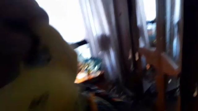 Игорь путешествие №2 как покарать пирамиду Хеопса