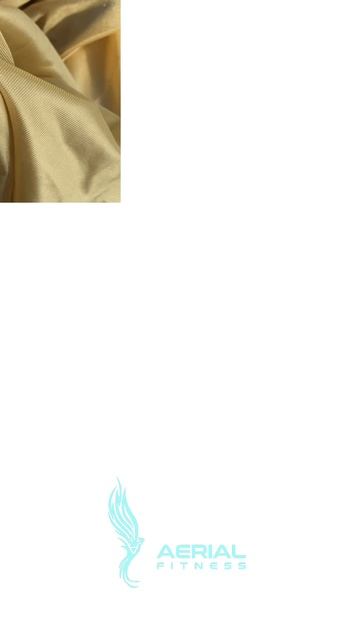 Гамаки для йони и фитнеса AERIAL FITNESS GOLD