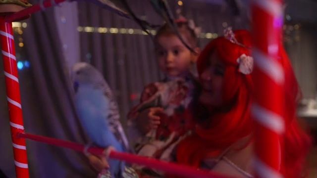 Шоу с попугаями