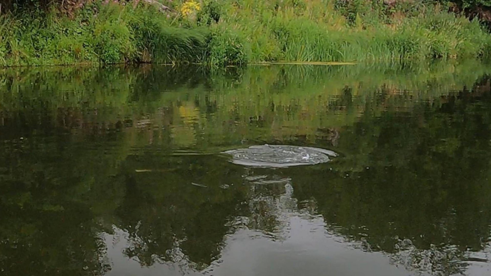 Атаки и не только
