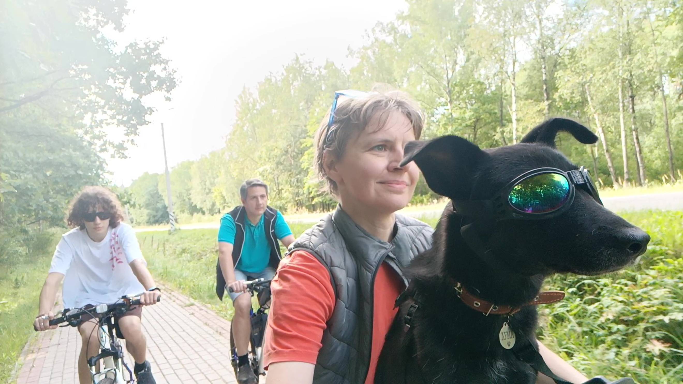 Велопрогулка с собакой