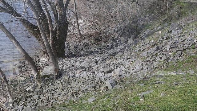 Р.Дон_Камплица_16.03.2025