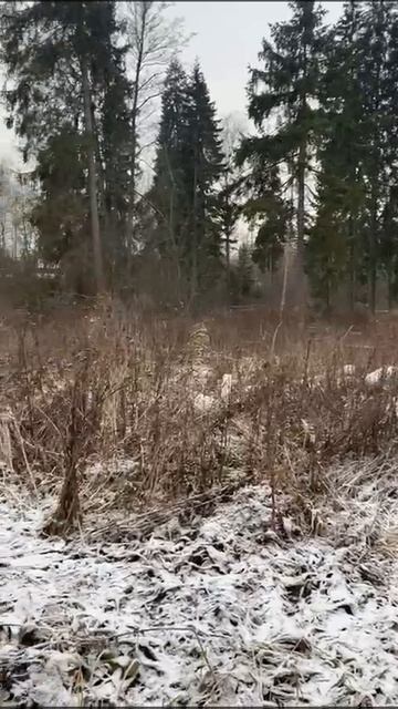 Продается участок 11.3 гектаров