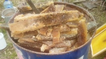 Как правильно работать с пчелой чтобы не жалила!