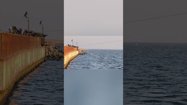 Балтийск с воды. Калининград.mp4