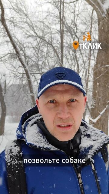 Послушание собаки - залог комфортной жизни