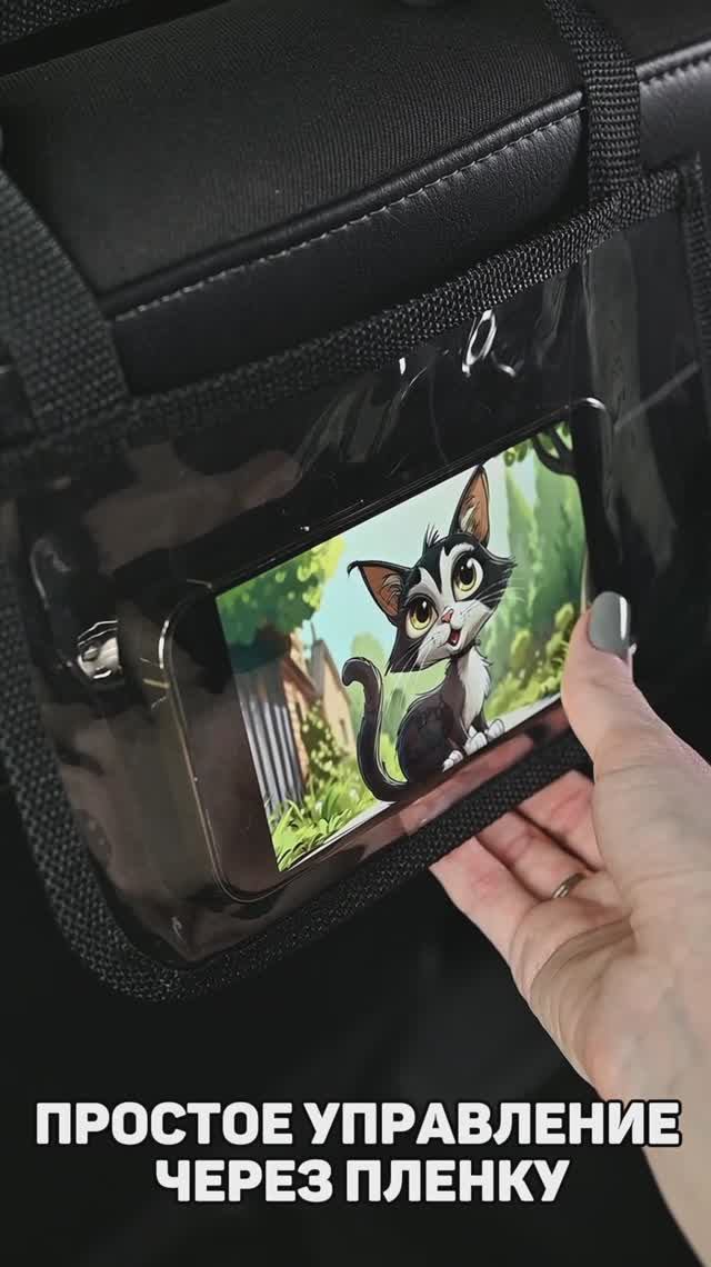 Съемка на проф. камеру. Возможен заказ видео с инфографикой. Нажмите сюда, чтобы увидеть описание