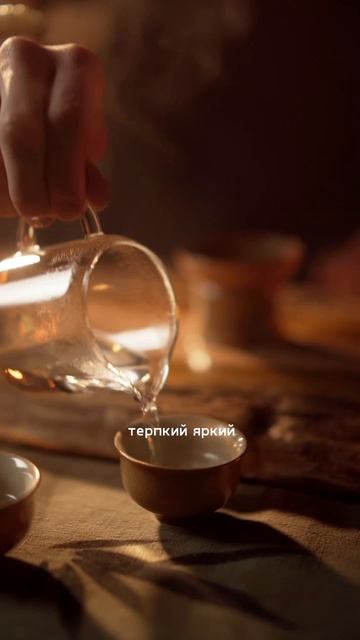 🍂 Шен пуэр Е Шен Да Е Бин N2, 2003 20-летней выдержки