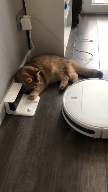 Проезд запрещен