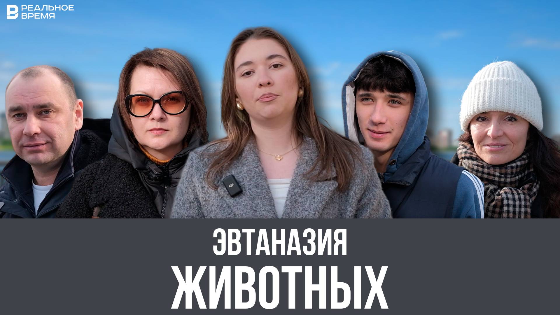 Согласны ли Казанцы на эвтаназию бездомных животных