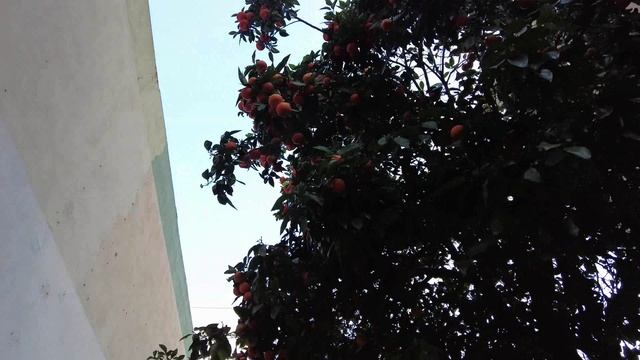 Валенсия пять лет спустя. Часть 4. Утро в отеле и прогулка до проспекта Бласко Ибаньес.