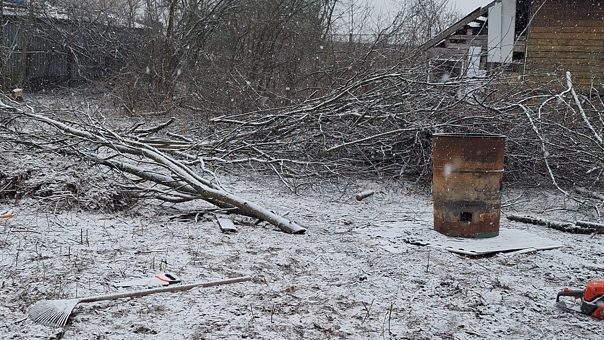 видео привет с дачи от 15.03.25