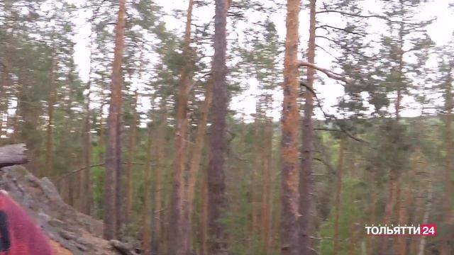 «Ты любишь Тольятти» 18.03.2025