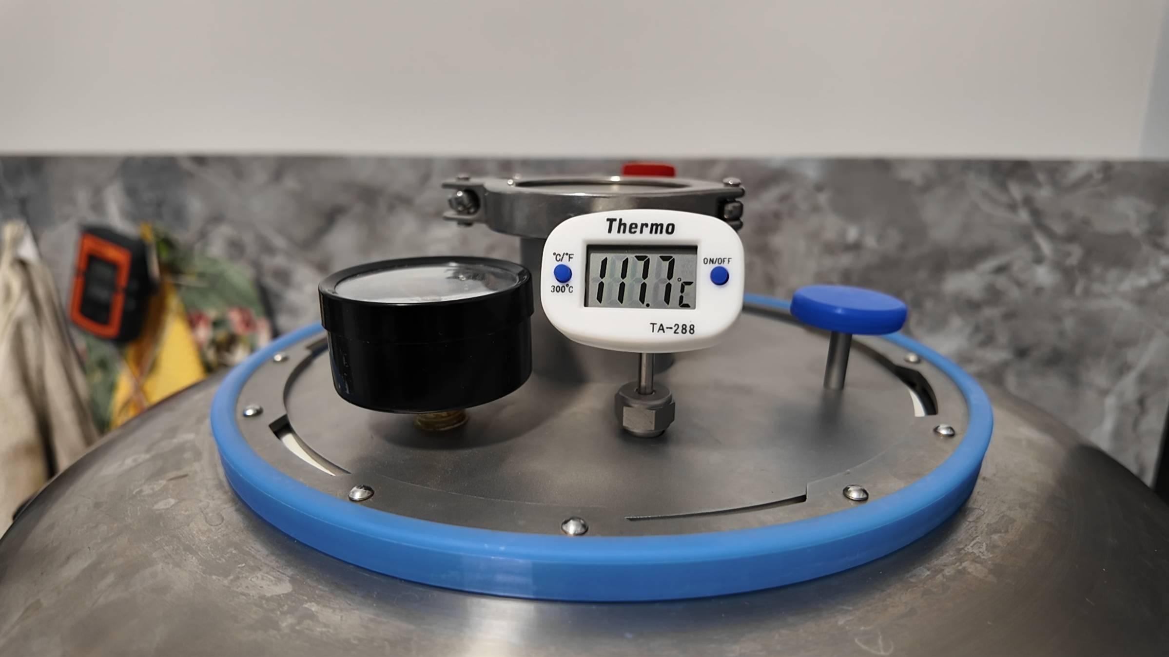 Реторт пакеты 29шт вес каждого 470гр. Вода 24л 13С Стерилизация каши 115/70 Автоклав Вейн 2 Замер t