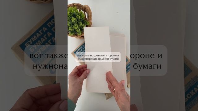 Про бумагу?✂️