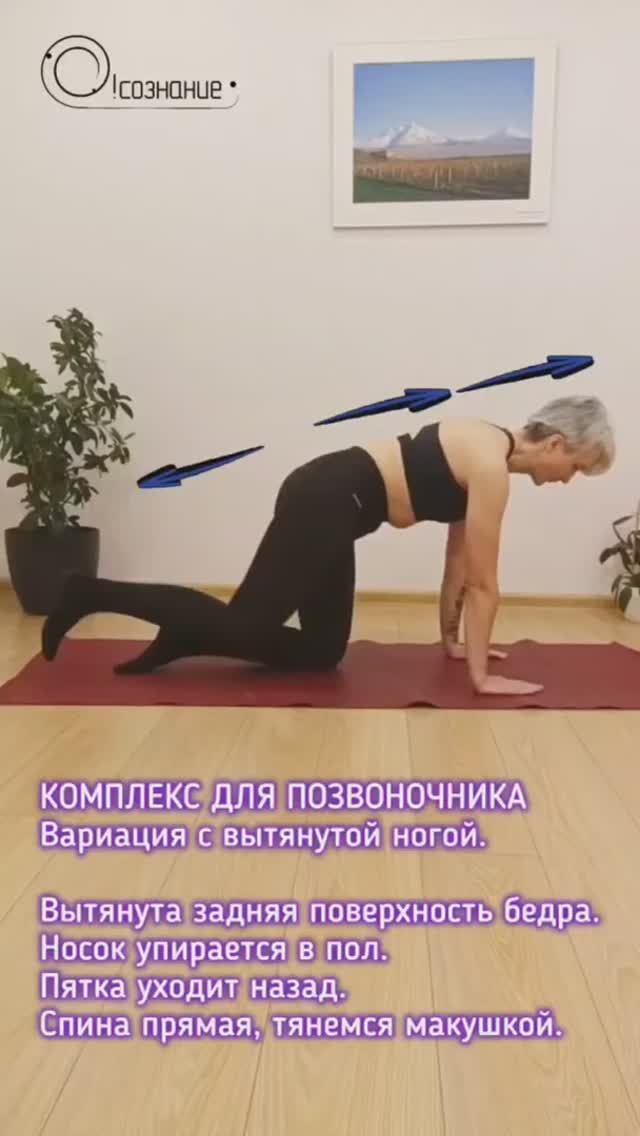 Здоровый позвоночник: укрепляем мышцы ног и спины #здороваяспина #йогаспб #позвоночник